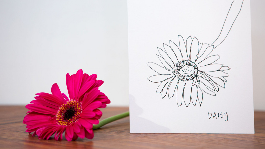 How to Draw a Gerbera Daisy by Molly Hatch - Creativebug
